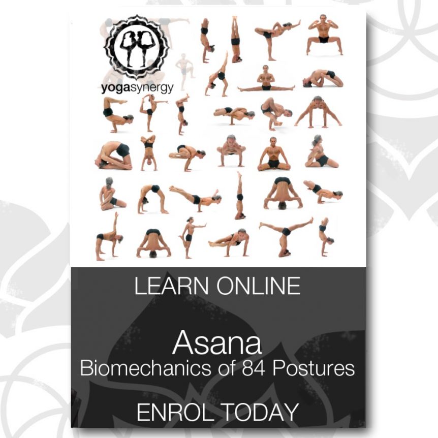 Asana Biomechanics 84 Postures - Yoga Synergy